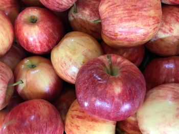 Primeur 4 saisons Bellac