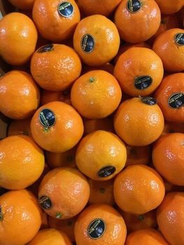 Primeur 4 saisons Bellac