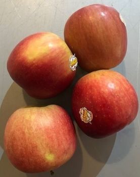 Primeur 4 saisons Bellac