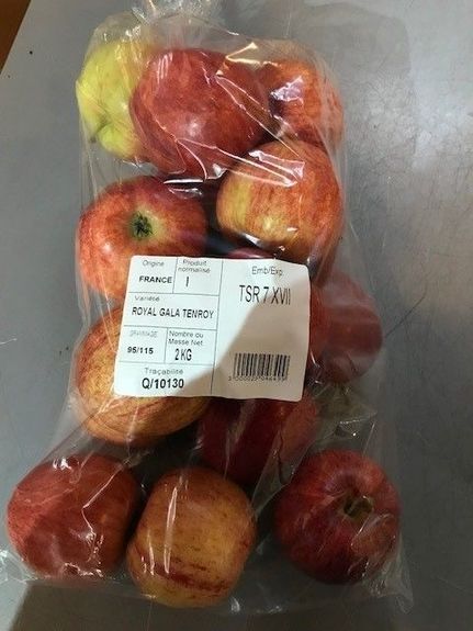 POMMES ROYAL GALA TENROY