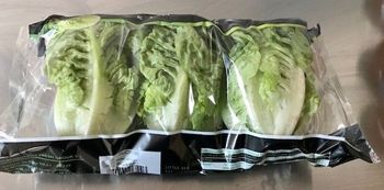 Primeur 4 saisons Bellac